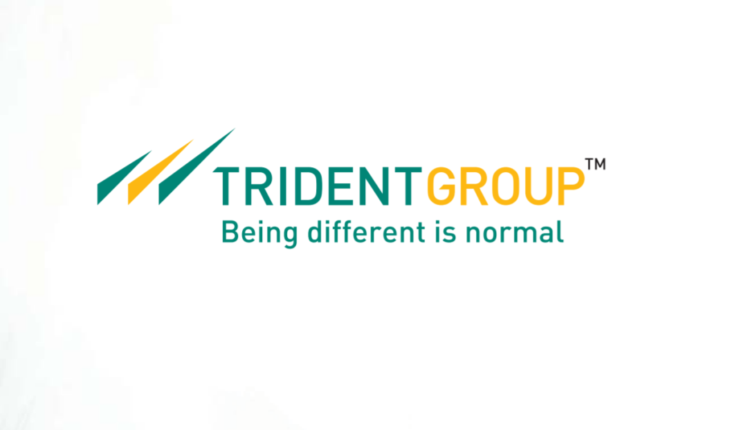 Trident Ltd Group | Products - IndianCompanies.in